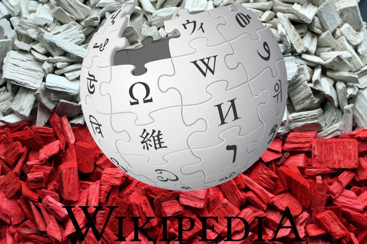 Jak Wikipedia cenzuruje polską historię. Pewne tematy są pod szczególną „opieką” - NCZAS.INFO